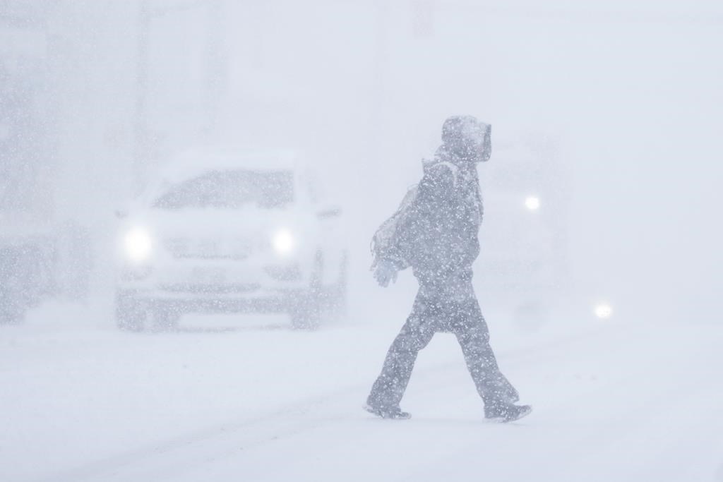 Une nouvelle tempête de neige frappera le Québec | Noovo Info Une nouvelle tempête de neige frappera le Québec | Noovo Info